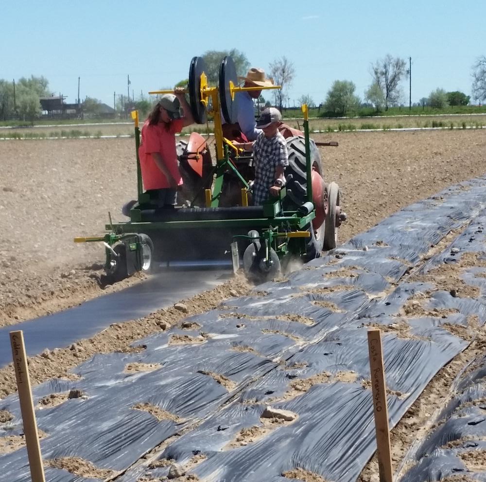 Farm Wife Garden & Necessities – Agrarian Harvest