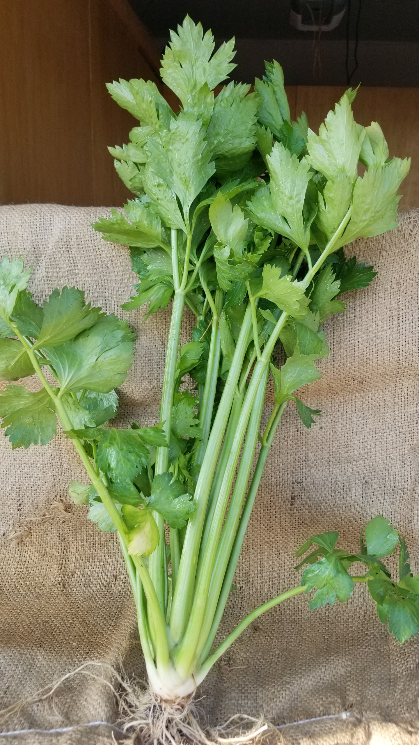 Agrarian Harvest – Wholesome, Organic, Experience. Our small farm, food ...