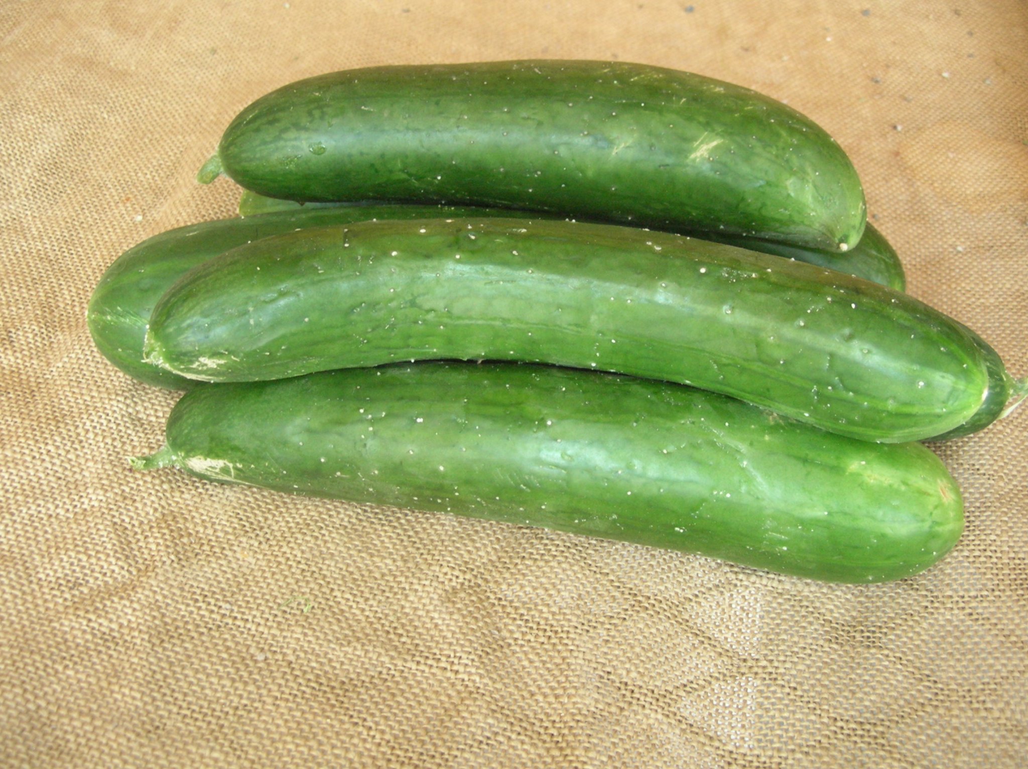 Agrarian Harvest – Wholesome, Organic, Experience. Our small farm, food ...