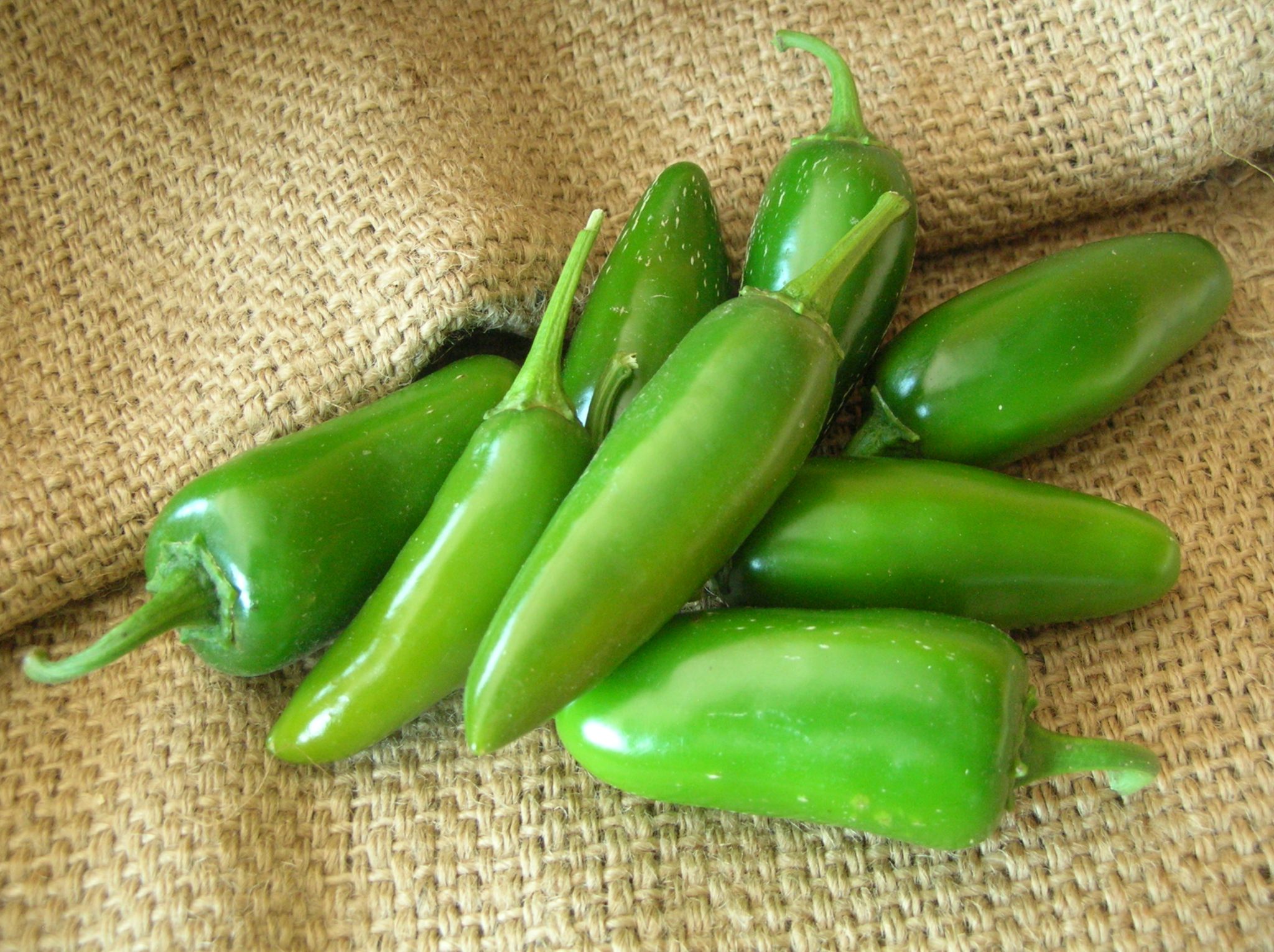 Agrarian Harvest – Wholesome, Organic, Experience. Our small farm, food ...