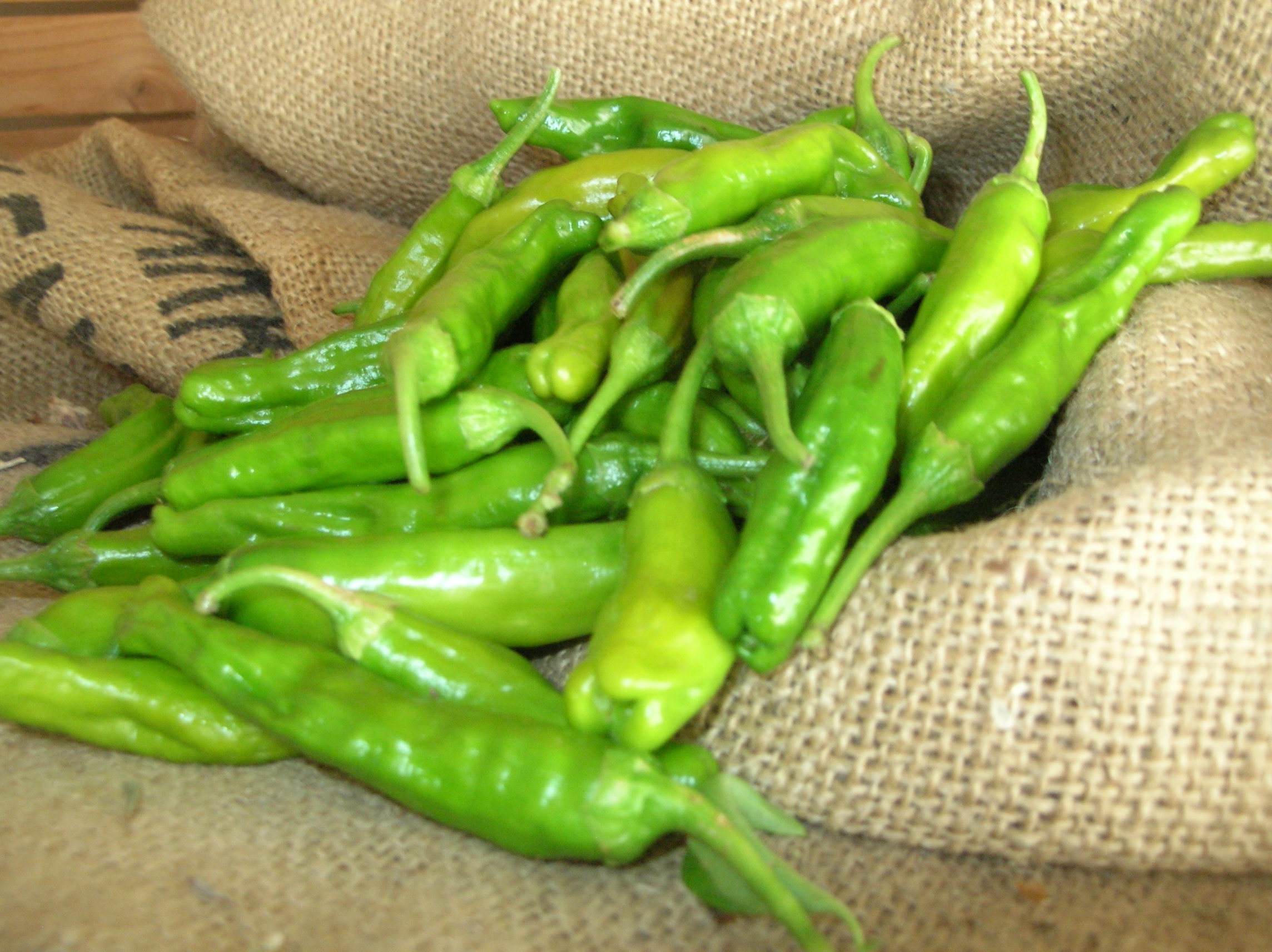 Agrarian Harvest – Wholesome, Organic, Experience. Our small farm, food ...